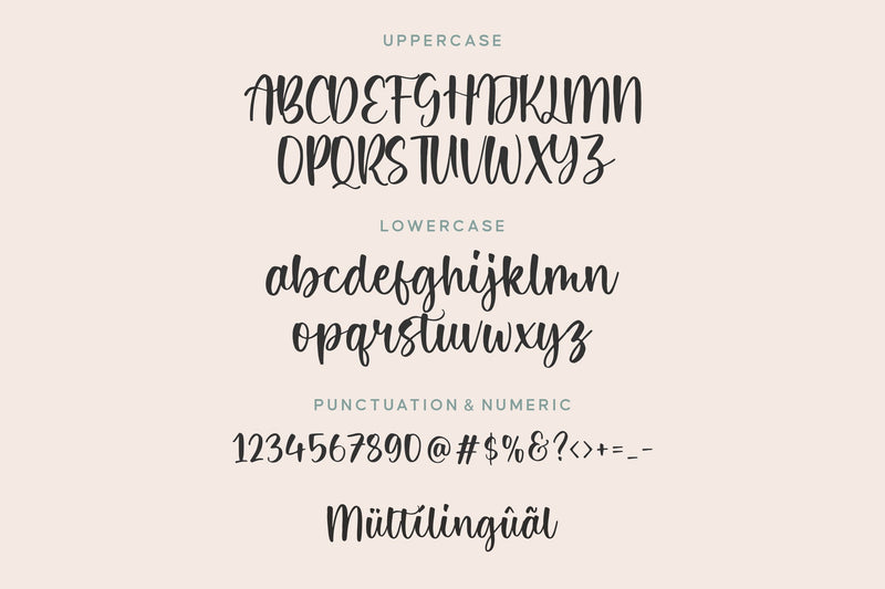 Singlesky Modern Handwritten Script Font - So Fontsy