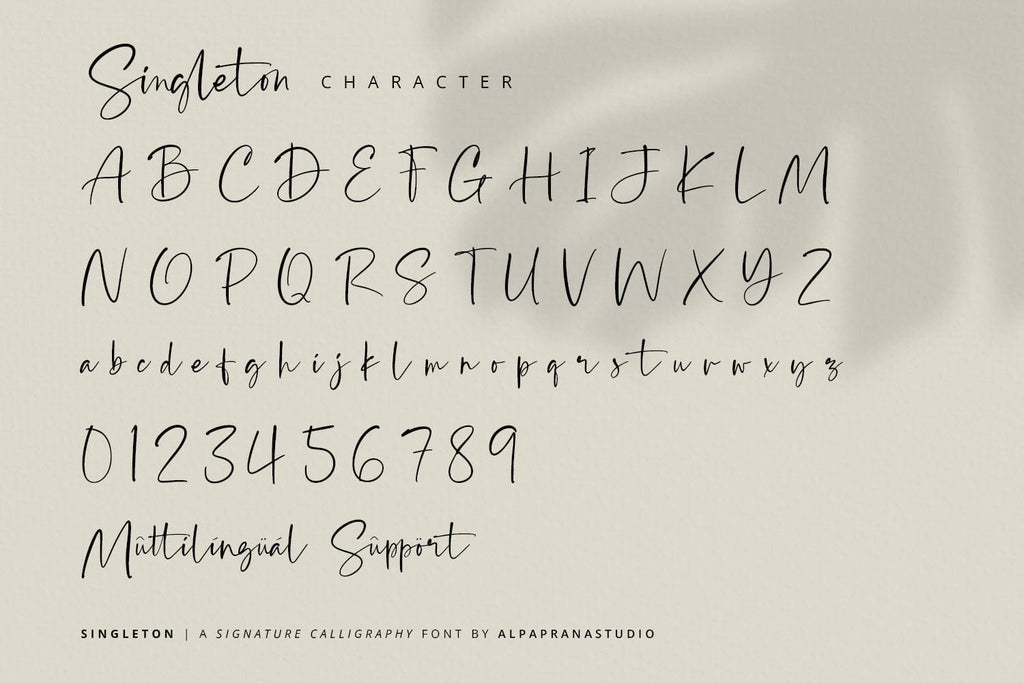 Singleton - Signature Font - So Fontsy