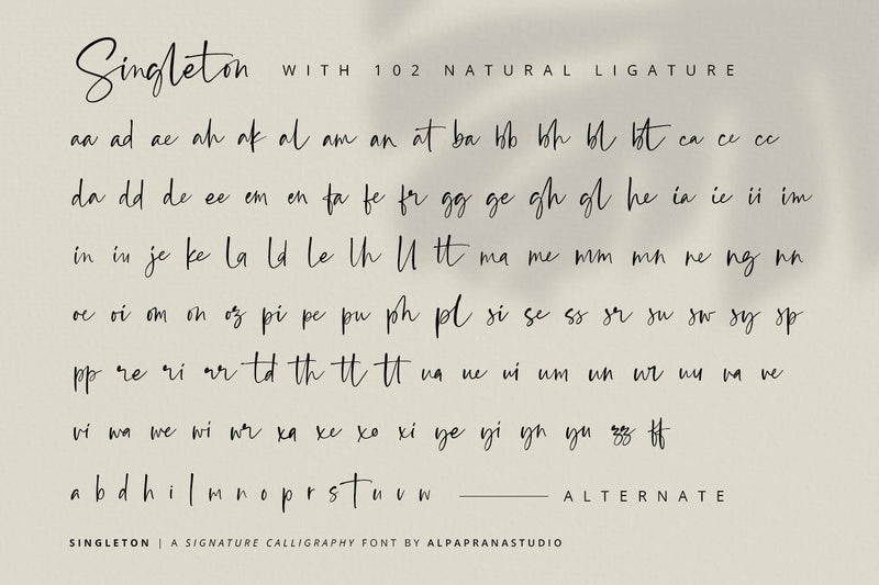Singleton - Signature Font - So Fontsy