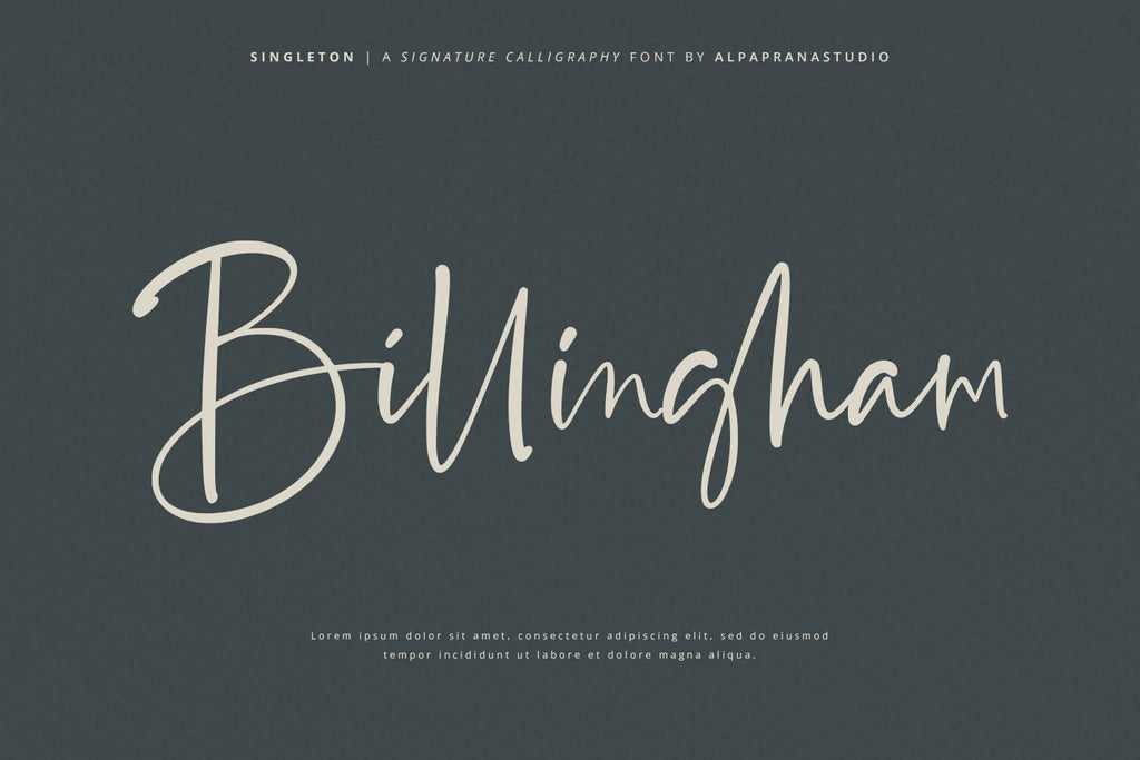 Singleton - Signature Font - So Fontsy
