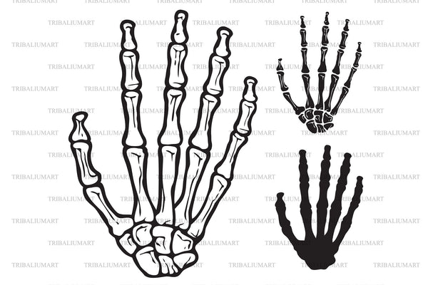 Skeleton Right Hand