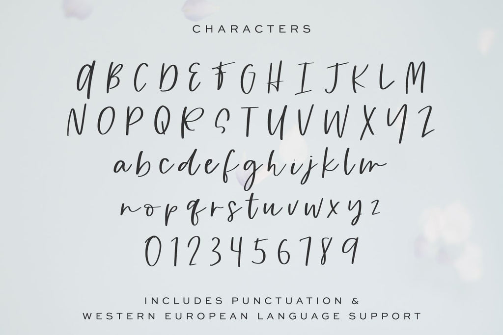 Small Things Script - So Fontsy