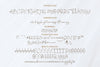 Southampton Script Font | So Fontsy