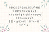 Sparkling Handwriting Font - So Fontsy