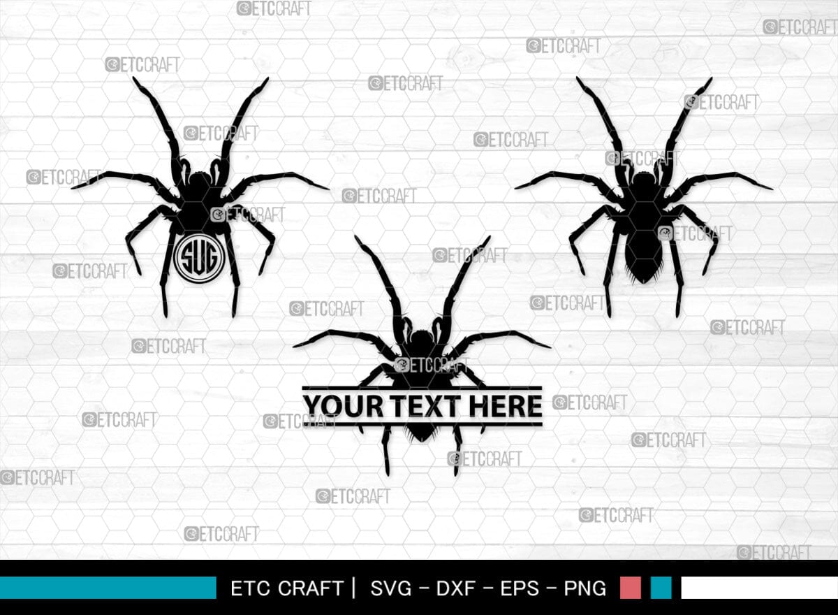 Spider Monogram, Spider Silhouette, Spider SVG, Arachnid Svg, Spider ...