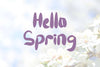 Spring Display - So Fontsy