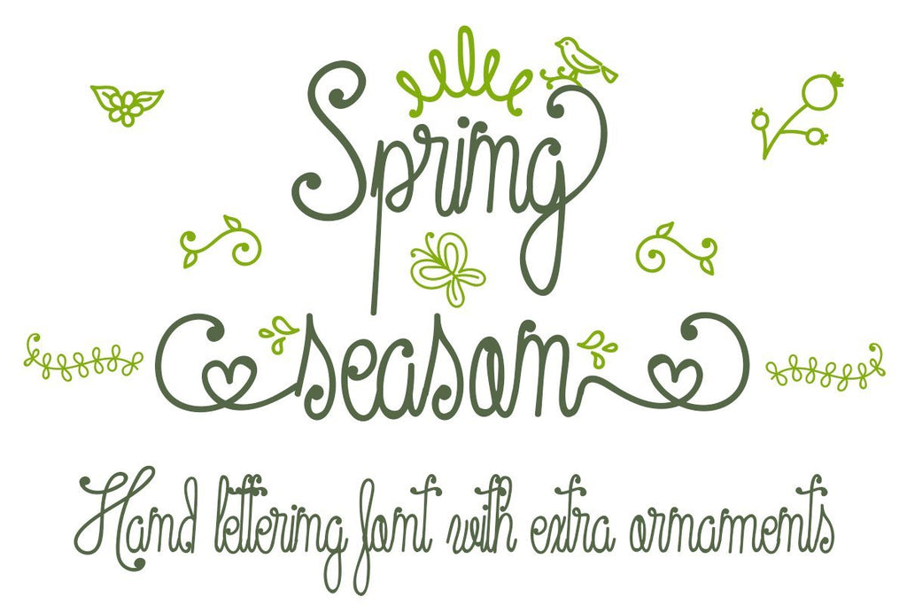 Spring Season script mono line font with decorations - So Fontsy
