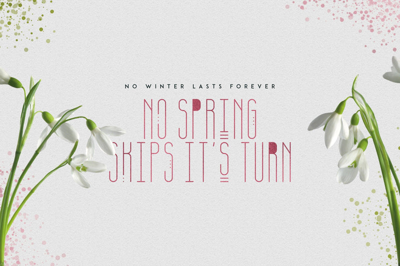 [Spring Vibes] April Display Font - So Fontsy