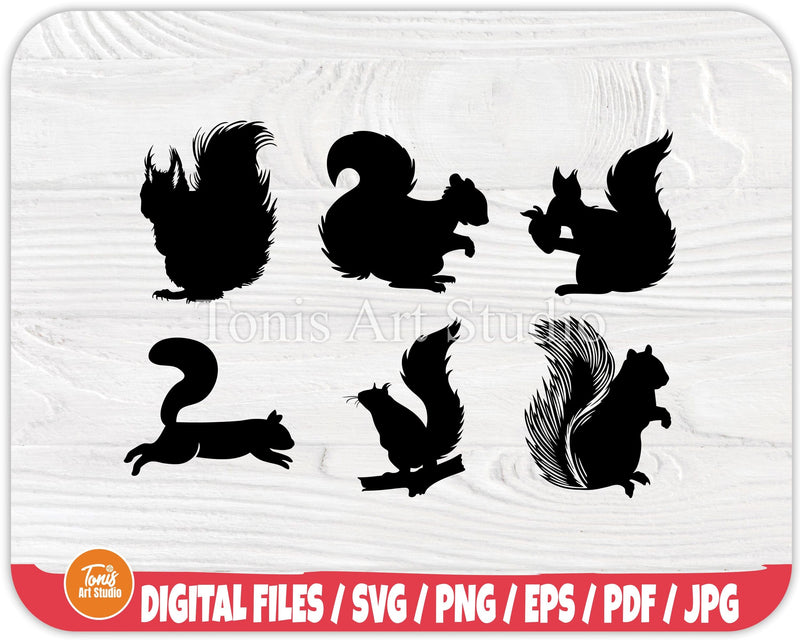 Squirrel SVG Cut Files | Squirrel Svg Bundle | Squirrel Clipart ...