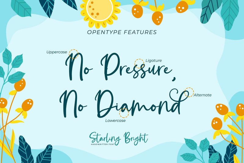 Starling Bright-Elegant Handwritten Font - So Fontsy