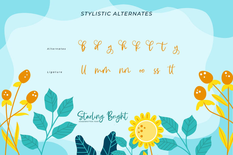 Starling Bright-Elegant Handwritten Font - So Fontsy