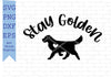 Stay Golden Svg, Golden Retriever Svg - So Fontsy