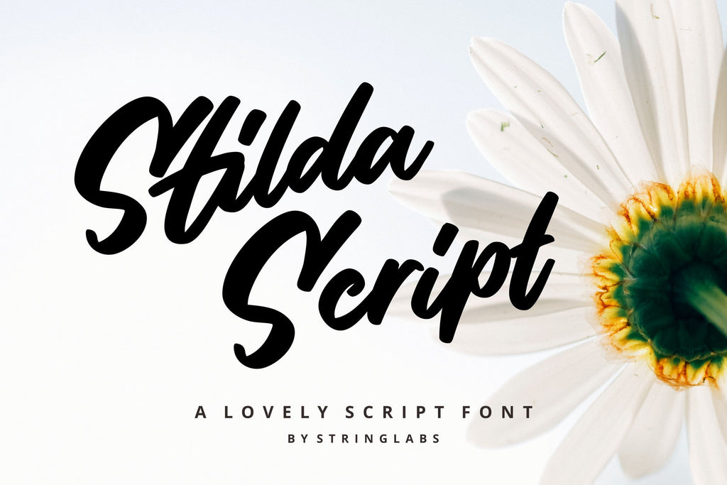 Stilda - Lovely Script Font - So Fontsy