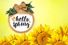 Sunflower Round Signs Bundl - So Fontsy