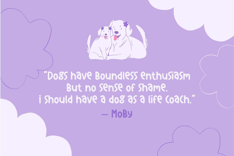 Super dog a Playful font - So Fontsy