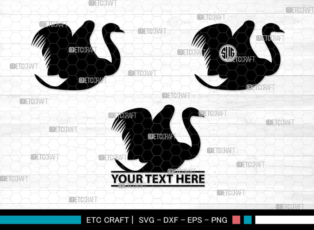 Swan Silhouette, Swan SVG, Swan Bird Svg, Gander Svg, Cygnini Svg, Baby ...