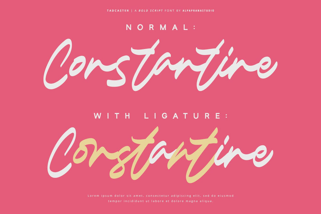 Tadcaster - Bold Script Font - So Fontsy