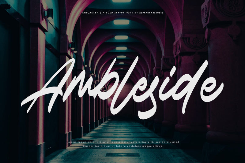 Tadcaster - Bold Script Font - So Fontsy