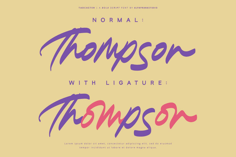 Tadcaster - Bold Script Font - So Fontsy