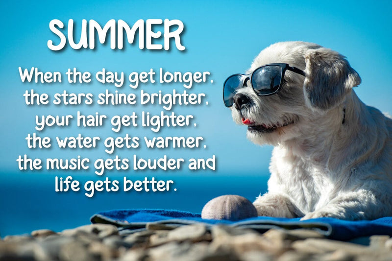 Tenky Font - So Fontsy