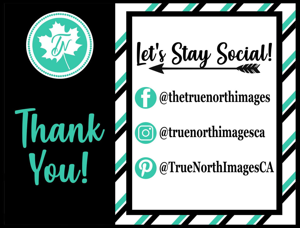 Thanksgiving SVG | Thankful Beyond Words - So Fontsy