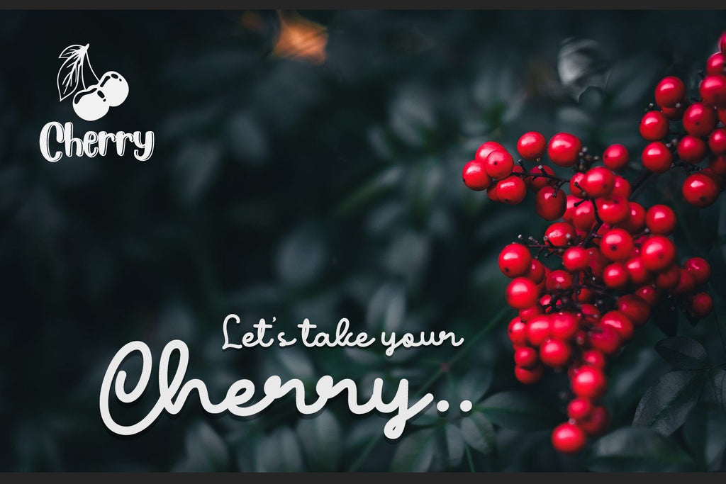 The Beaner - 5 Font & 41 Clipart - So Fontsy