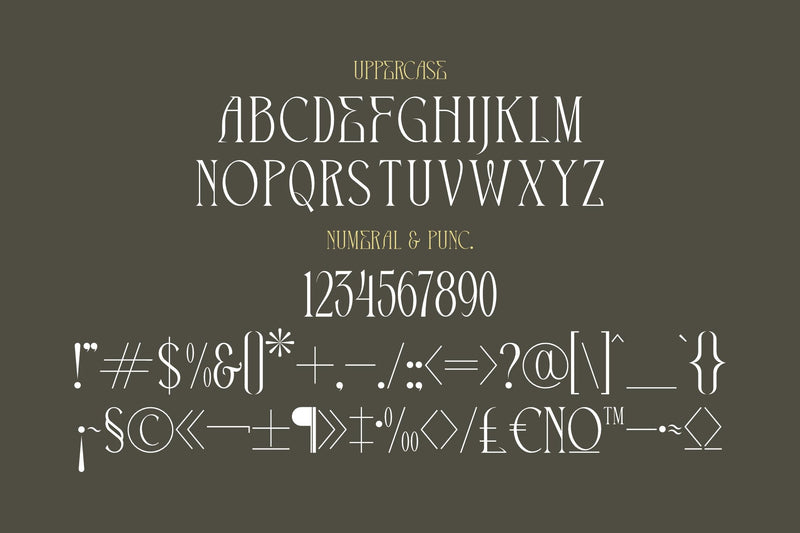 THE CRONICLE Typeface - So Fontsy