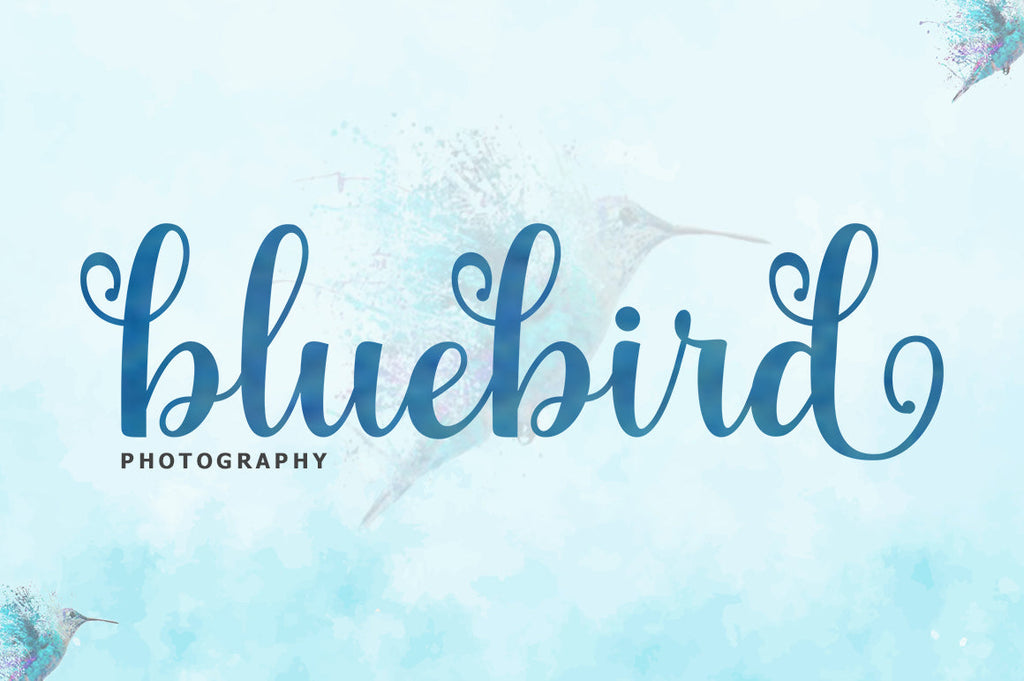 The Juliette | Script Font - So Fontsy