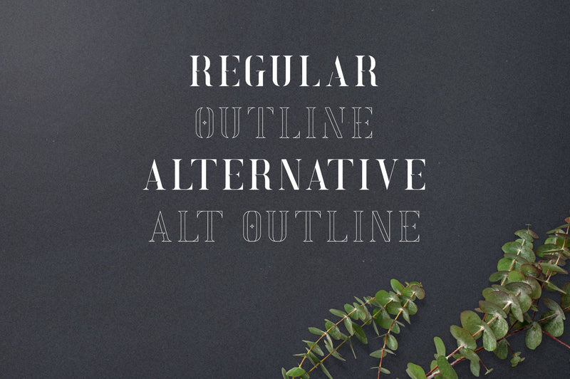 The Modern Vintage Font Collection - So Fontsy