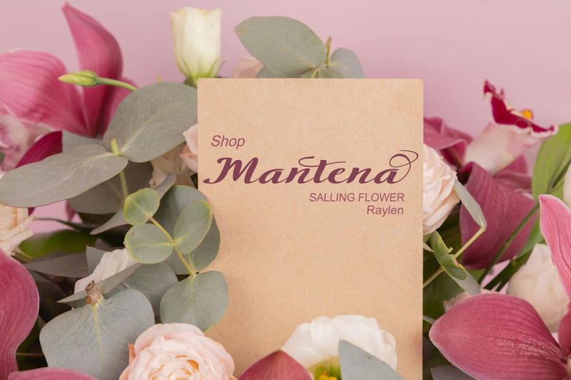 The Raylen - So Fontsy