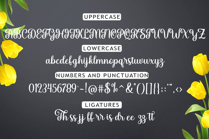 The Yolanda Font Duo - So Fontsy