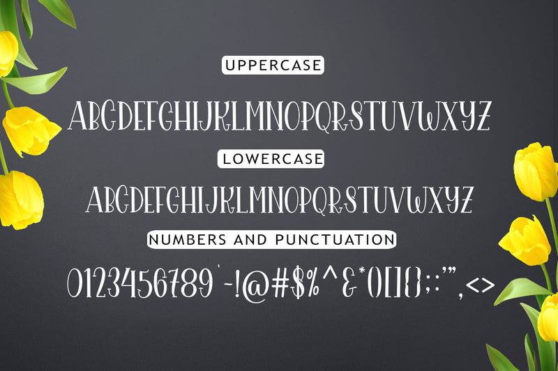 The Yolanda Font Duo - So Fontsy