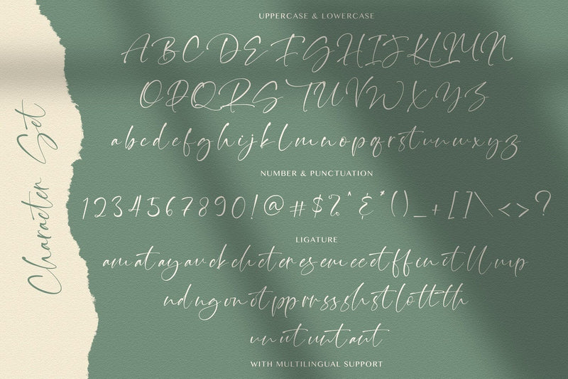 Thinker Script - Signature Font - So Fontsy
