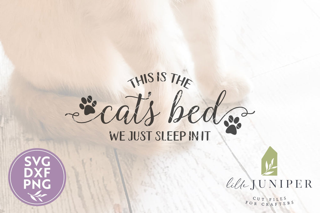 This is the Cat's Bed | Funny Cat SVG - So Fontsy