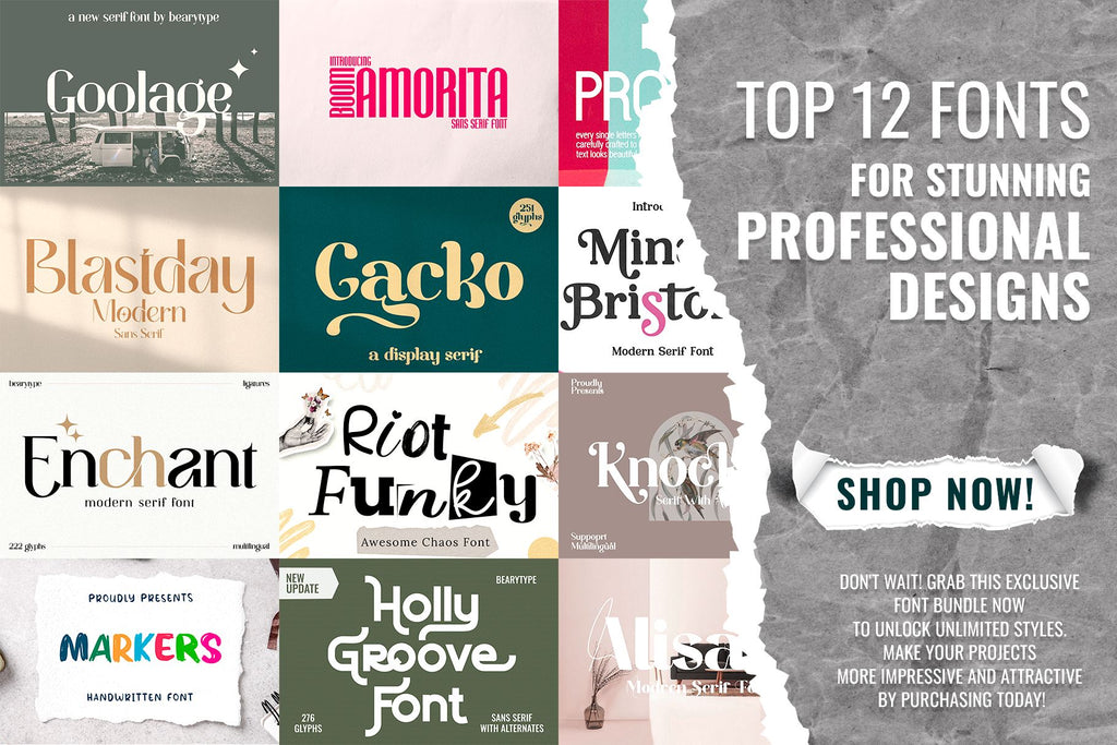 Top 12 Fonts for Stunning Professional Designs (FONT BUNDLE) - So Fontsy