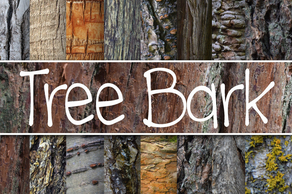 Tree Bark Textures Digital Paper - So Fontsy