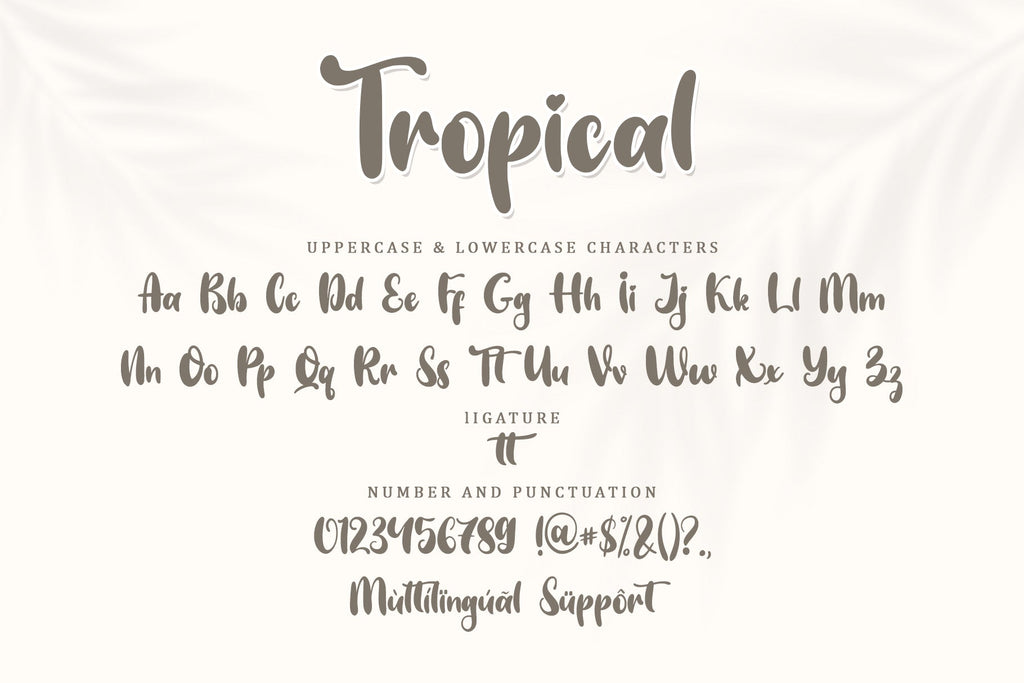 Tropical Display - So Fontsy