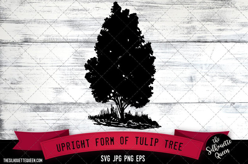 Upright form of Tulip Tree SVG -Vector Art Commercial & Personal Use ...