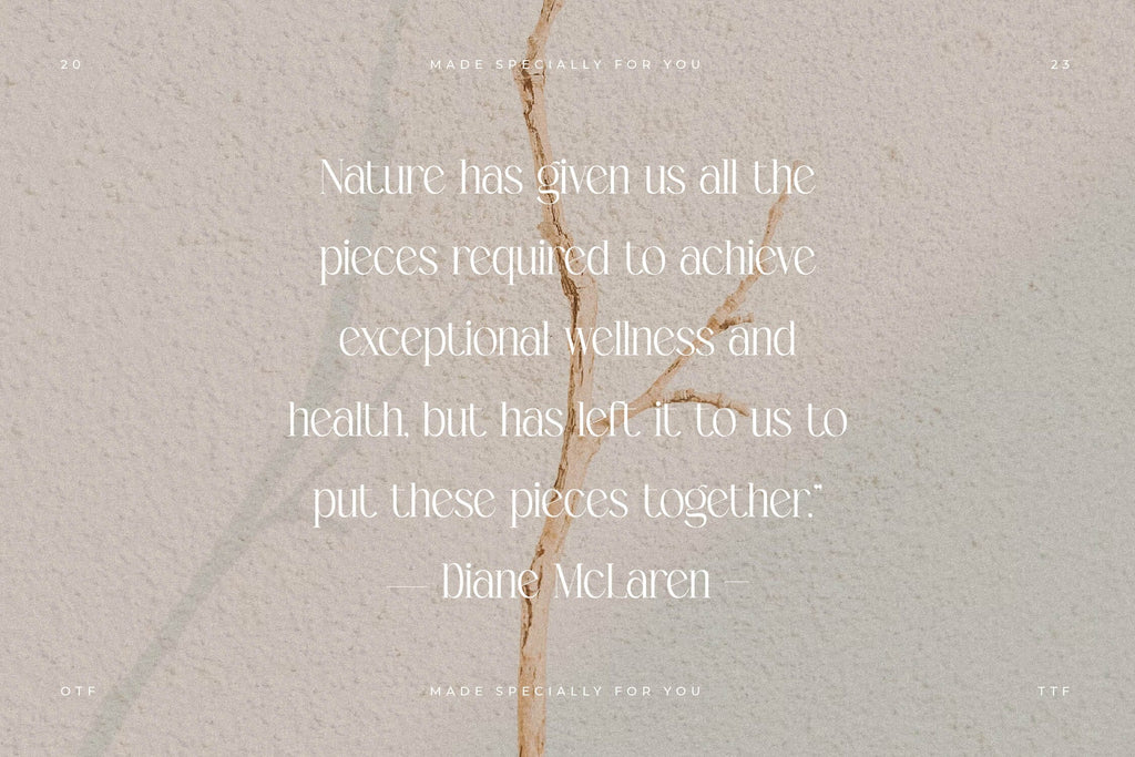 Venture Typeface - So Fontsy