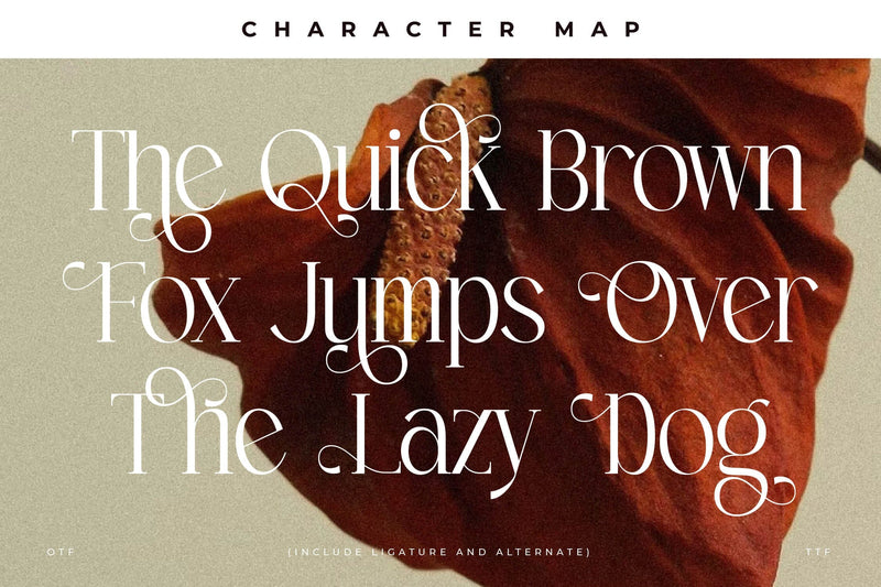 Venture Typeface - So Fontsy