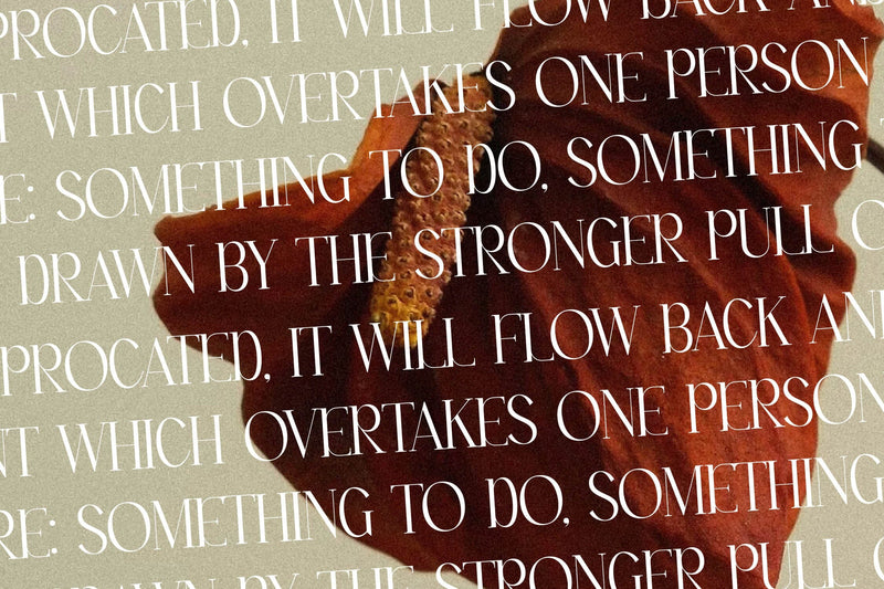 Venture Typeface - So Fontsy