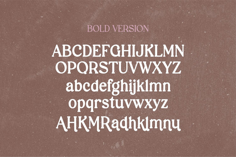 Vintage Champagne Modern Serif Font - So Fontsy
