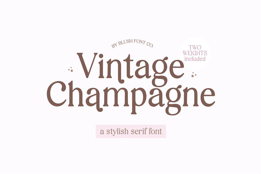 Vintage Champagne Modern Serif Font - So Fontsy