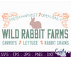 Vintage Easter Farmhouse Sign | Wild Rabbit Farms Svg - So Fontsy