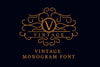 Vintage Monogram - So Fontsy