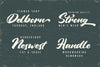 Vintage Style - Bold Script Font - So Fontsy