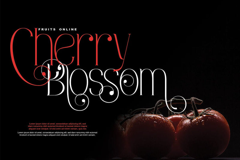 Viona Niosa Serif - So Fontsy