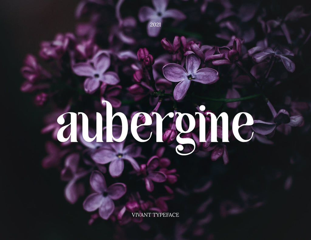 Vivant Serif Font - So Fontsy