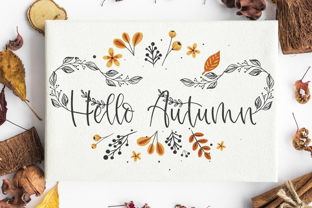 Walnut Moth - Match With Leaf Swashes - So Fontsy