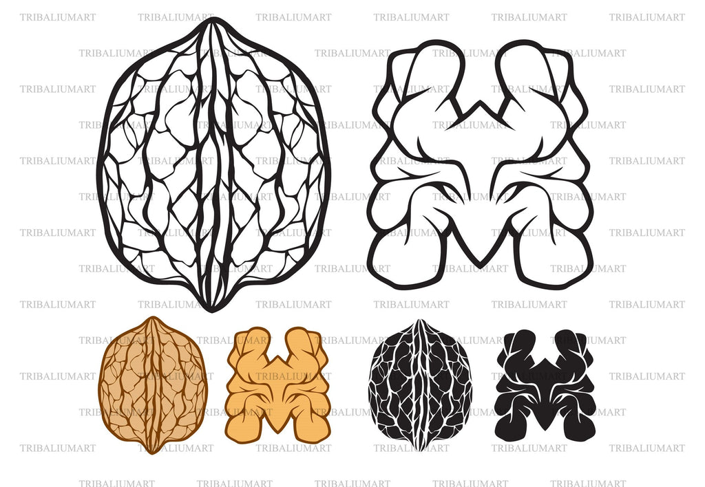 Walnut. Cut files for Cricut. Clip Art silhouettes (eps, svg, pdf, png ...